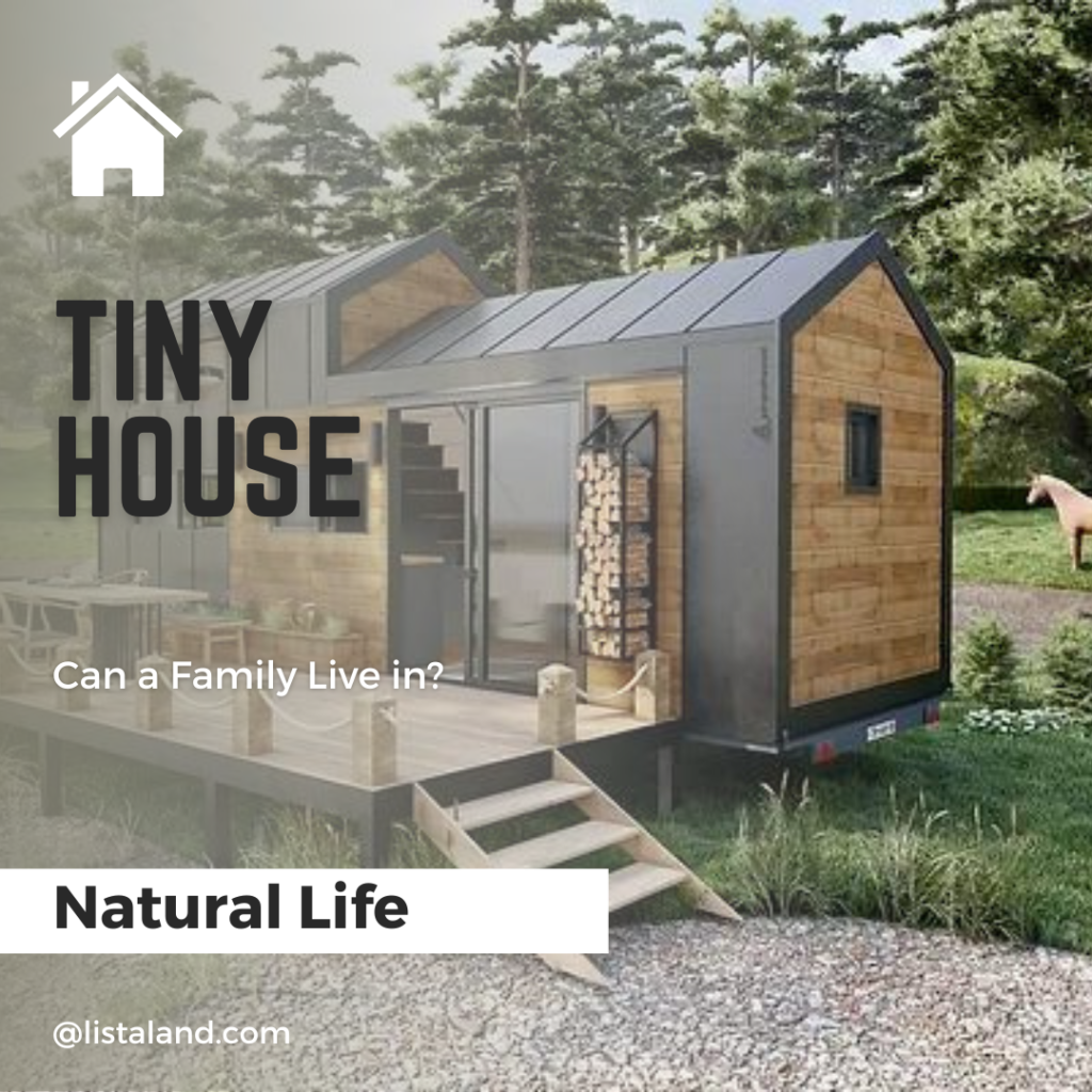 Can a Family Live in a Tiny House? - ListaLand